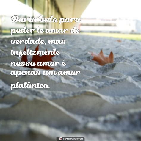 Descubra As Mais Belas Frases De Amor Platônico E Se Inspire Na Arte Do