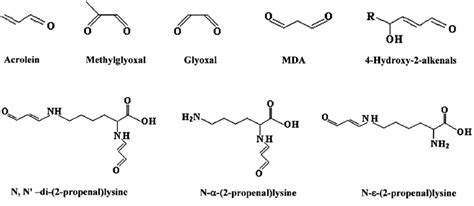 Reactive Aldehydes Generated From Loohs And N 2 Propenals Derived By Download Scientific