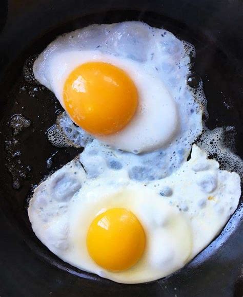 Duck Eggs Vs Chicken Eggs How Do They Compare Dietary Cholesterol