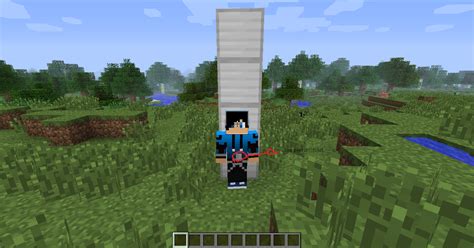 Minenovidades Como Ver Seu P Nis No Minecraft