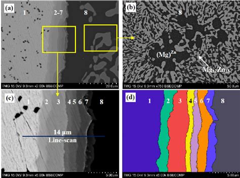 A C And D Sem Micrographs Of Diffusion Couple 3 B Sem