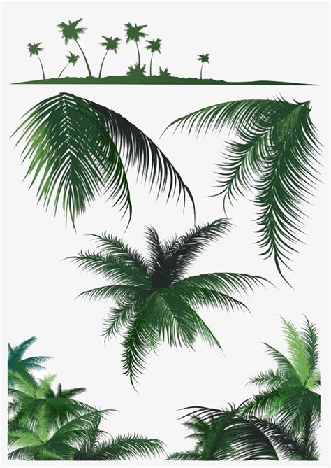 녹색 야자나무 야자 그림 코코넛 잎 코코넛 나무 Png 일러스트 및 Psd 이미지 무료 다운로드 Pngtree