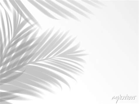 Palm Leaves Shadow Background Overlay Realistic Vector Tropical Wall