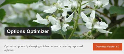 Delete Orphan Options Of Uninstalled Plugins In Wordpress