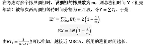 进化生物学作业20220406 群体遗传学 知乎