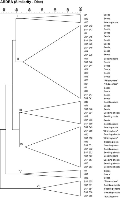 dendrogram of similarity based on the polymorphic profiles of the ardra