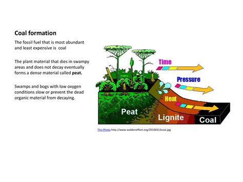 Common Fossil Fuels Ppt
