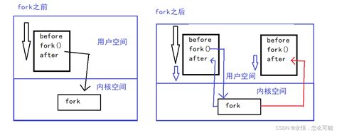 Linux 关于进程控制vfork 独立执行 Csdn博客