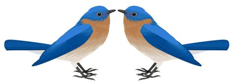 An English Girl Rambles From 2016 To The Eastern Bluebirds Visit