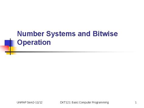 Number Systems And Bitwise Operation Uni Map Sem