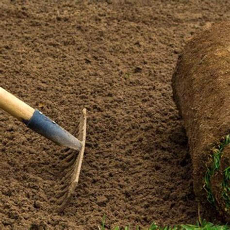 Preparation And Laying Sa Turf