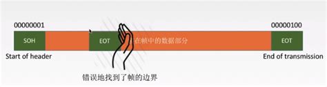 数据链路层 小丞前端日记