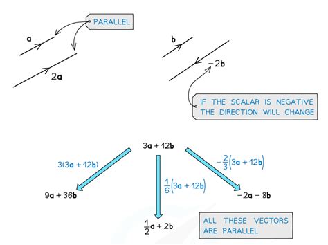 Edexcel A Level Maths Pure复习笔记1113 Vector Addition 翰林国际教育 Edexcel A Level Maths Pure复习笔记1113 Vector Addition 翰林国际教育