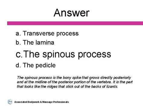 Shoulder And Arm Kinesiology Flash Cards Associated Bodywork