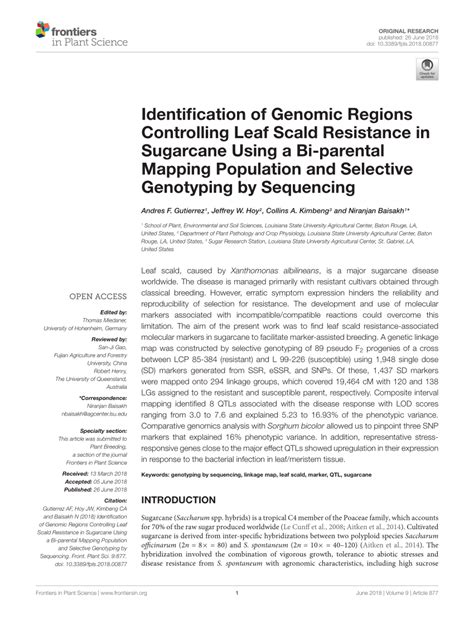 Pdf Identification Of Genomic Regions Controlling Leaf Scald