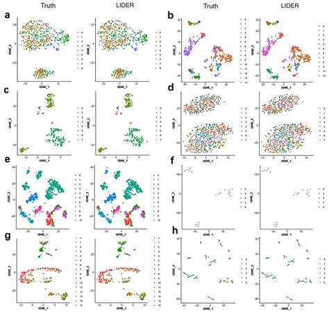 Lider Cell Embedding Based Deep Neural Network Classifier For