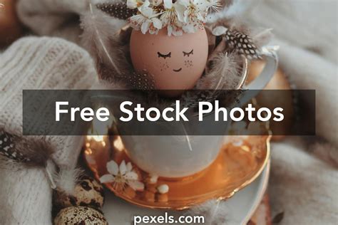 Eater Background Photos Download The Best Free Eater Background Stock