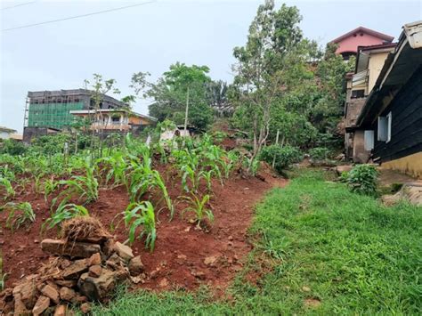 Terrain de 1000m2 du quartier Bastos à vendre HOMECM Annonces