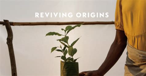 신상품라운지 네스프레소 카페시토 데 푸에르토리코·쿠바 출시