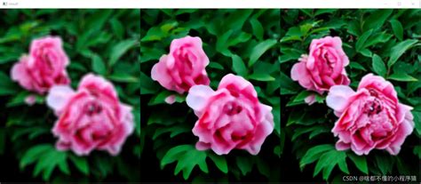 机器视觉——opencv案例分析基础（三） 图像的模糊、加密、几何变换、融合、二值化等） cv2模糊匹配 csdn博客