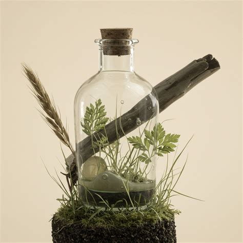 How Does Consumer Behavior Affect Bioplastic Recycling Rates → Question