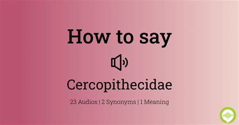How To Pronounce Cercopithecidae