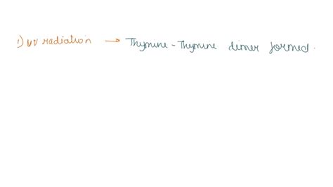 Solved For Questions 1 5 State Whether The Mutation Described Is The