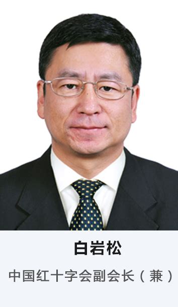 中国红十字会副会长 白岩松（兼）