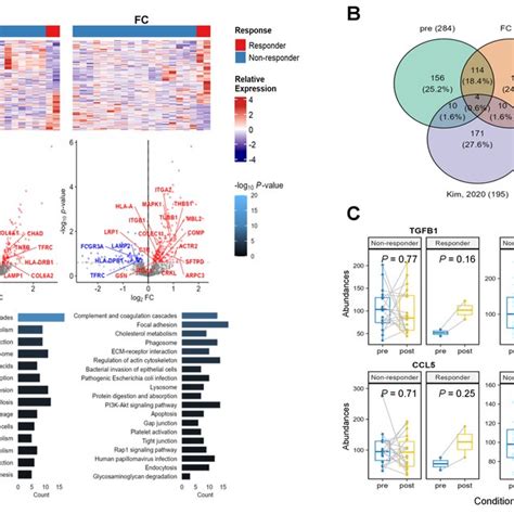 Protein Expression Analysis A Differentially Expressed Proteins