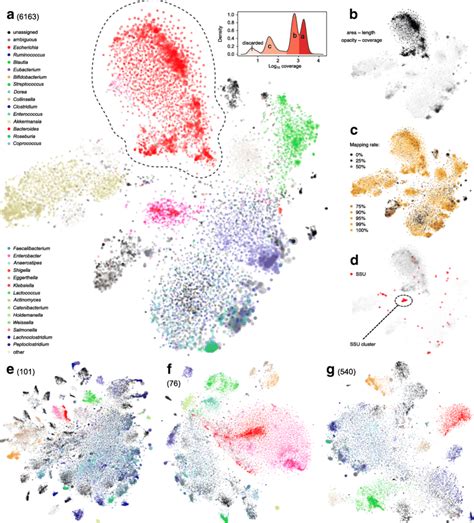 Illustration Of Metagenomic Contig Clustering Pattern And Binning