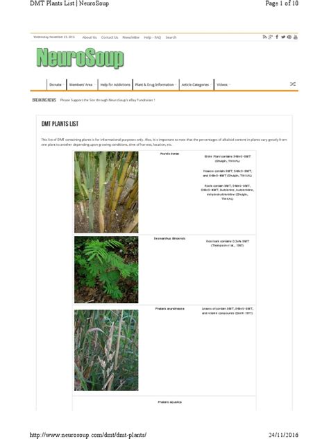 Dmt Plants List Pdf Ethnobotany Botany