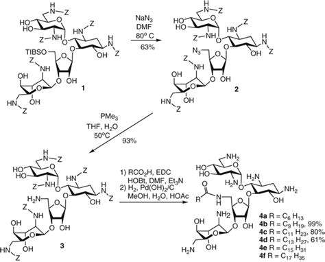 Scheme 1scheme 1 Synthesis Of Neomycin Derivatives Download Scientific Diagram