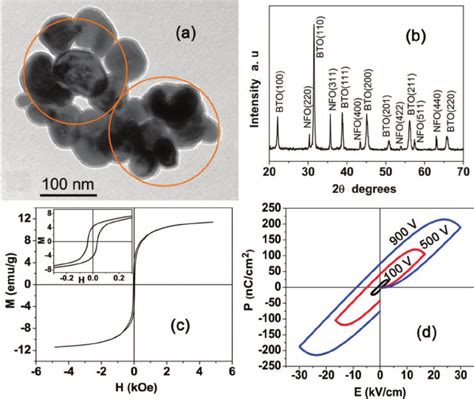 A Tem Micrograph Showing Core Shell Structures For Chemically Download Scientific Diagram