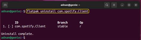 How To Removeuninstall Packages On Ubuntu 2204 Linux Genie