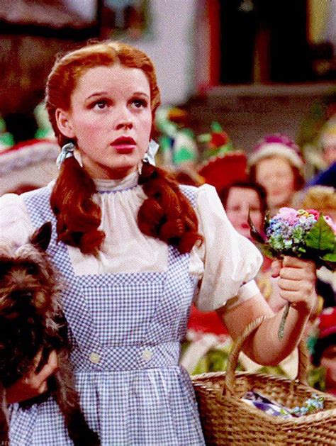 Wizard Of Oz Dorothy Costume Pit A