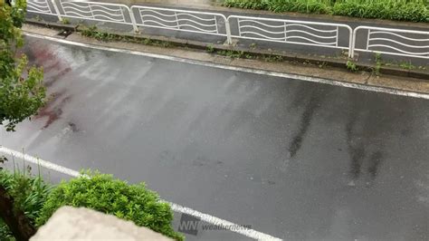 今日は湿度たかめの雨です☔️ いつも、新 東京都江東区 まーちゃん（76歳誕生月） ウェザーニュース