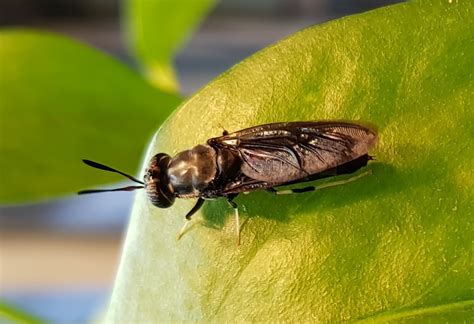 Oberland Agriscience Inc Linkedin