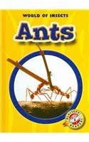 Ants Blastoff Readers World Of Insects Level 2