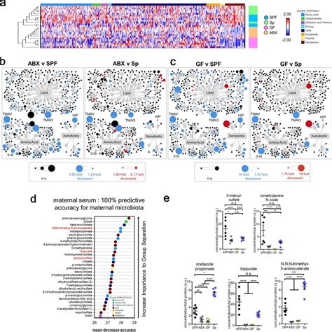 Maternal Serum And Fetal Brain Metabolomic Profiles From Gnotobiotic