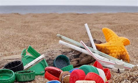 Más Del 80 De Los Residuos Hallados En Playas Bonaerenses Son Plásticos