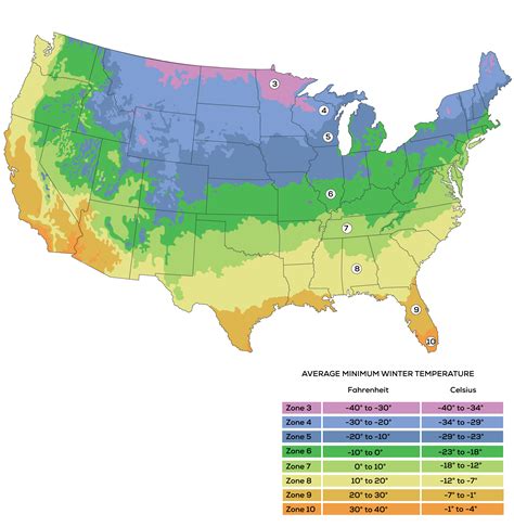 Us Growing Zones Map 2024 Wini Darline