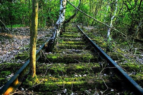 Заброшенные железные дороги: trasyy — LiveJournal