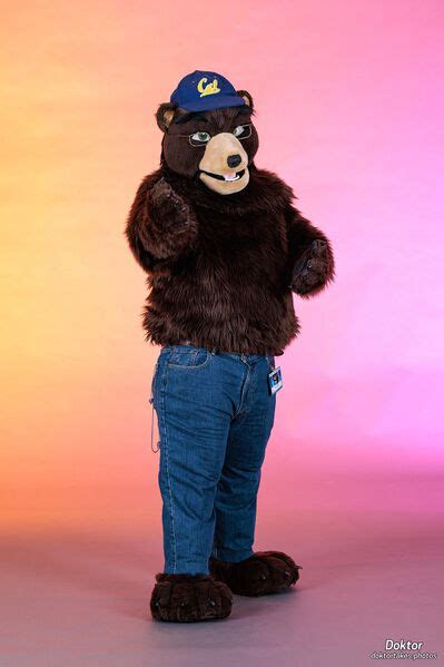 Joe G Bear Wikifur The Furry Encyclopedia