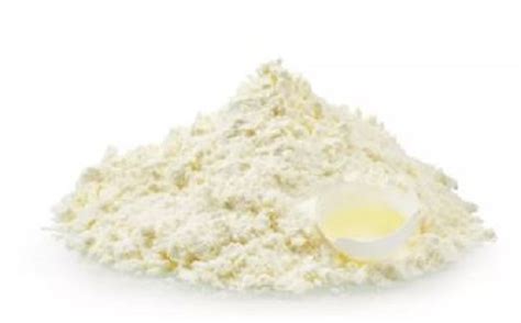 1 Kilogram Tasteless Egg White Powder 92 Protein 3 Fat 50