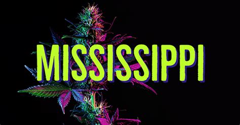 Mississippi Cannabis Consultant Cannabis Consultants New Leaf