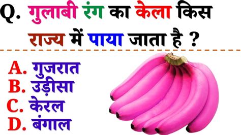 Most Brilliant Answers Of UPSC IPS IAS Interview Questions Gk Quiz Gk Part Gk Video