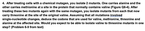 Solved 4 After Treating Cells With A Chemical Mutagen You