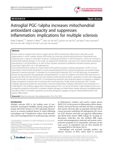 Pdf Astroglial Pgc 1alpha Increases Mitochondrial Antioxidant Capacity And Suppresses