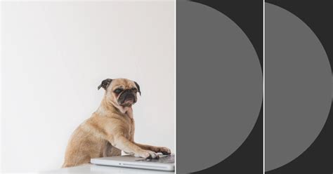 List Python Curated By Vic Chen Medium