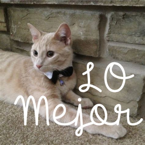 Lindsey Osowski Teaching Resources Teachers Pay Teachers